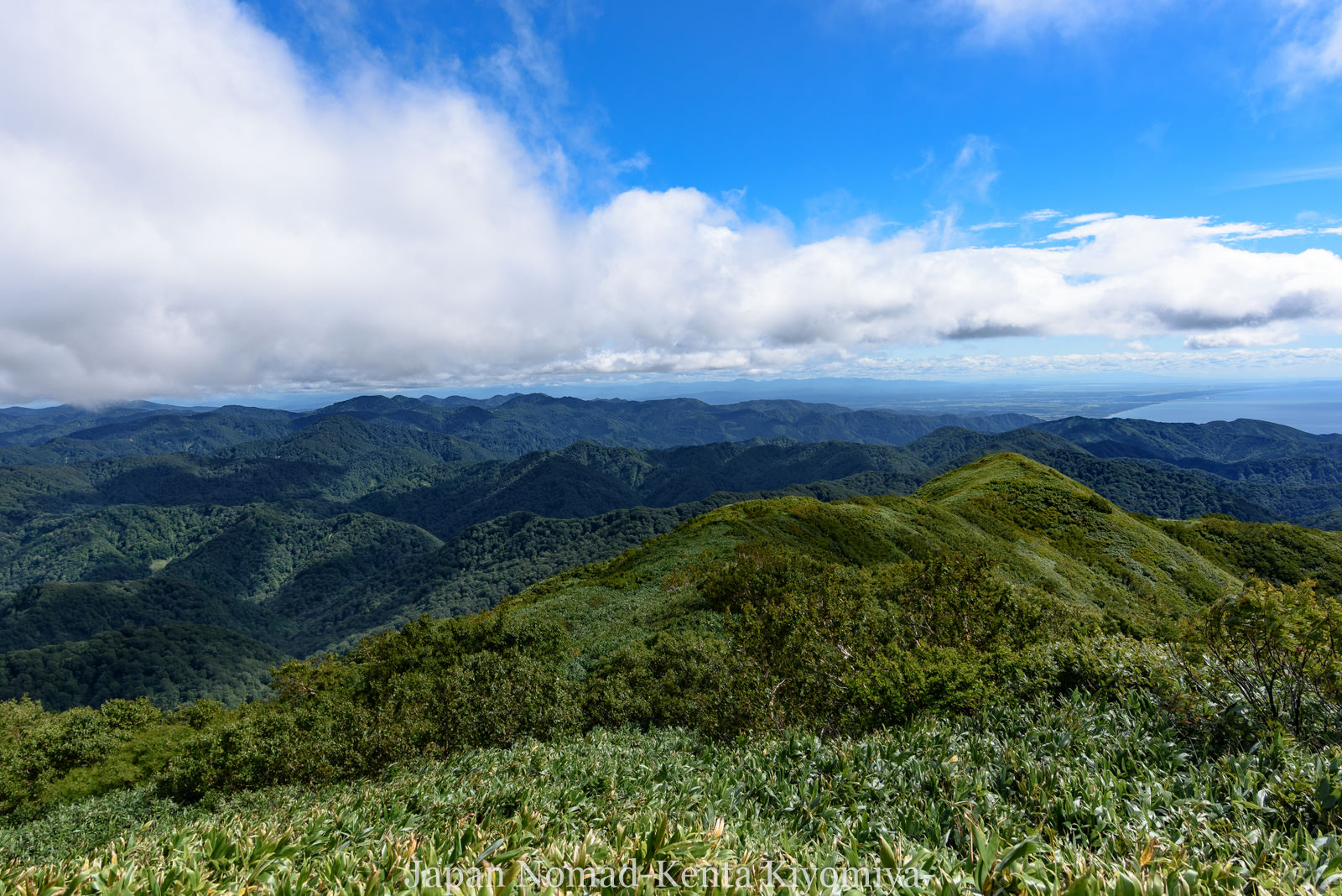 【青森県】白神岳 登山（夏山・日帰り）世界遺産「白神山地」の美しいブナ林を一望！ - Japan Nomad 〜旅と山と写真のブログ〜